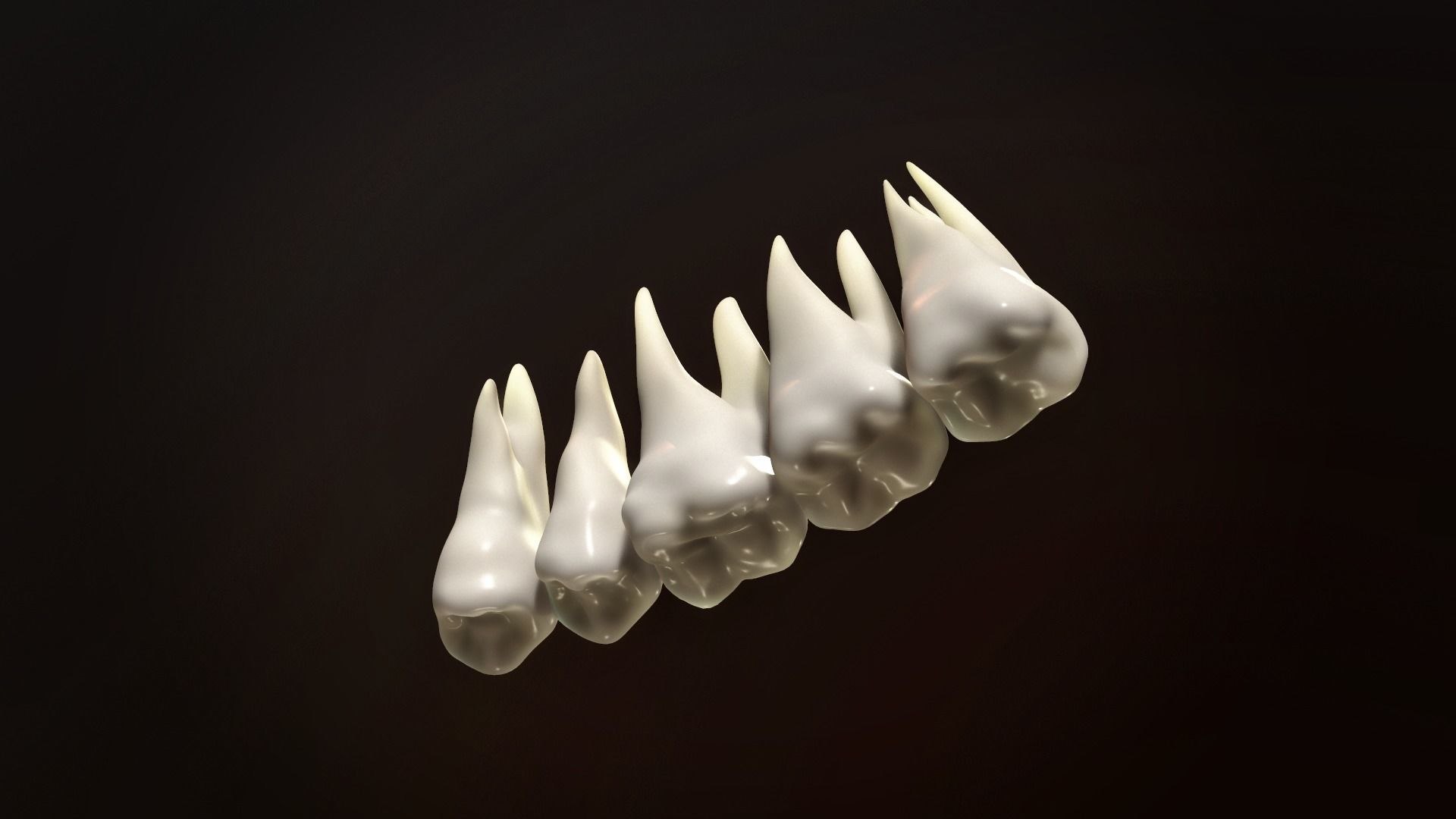 Teeth Pack 3D Model - TurboSquid 1683732