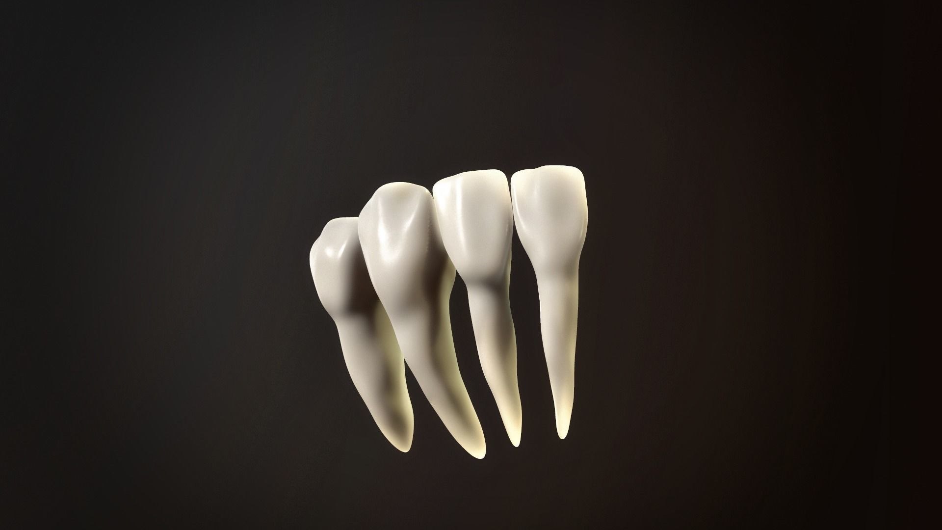 Teeth Pack 3D Model - TurboSquid 1683732