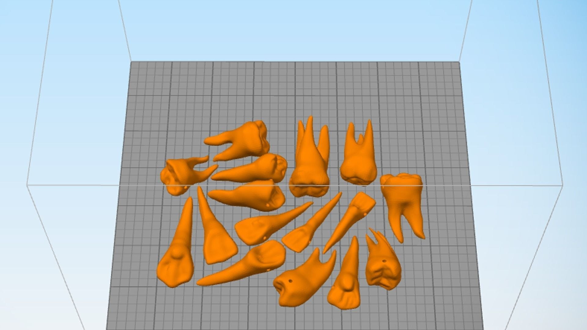 Teeth Pack 3D Model - TurboSquid 1683732