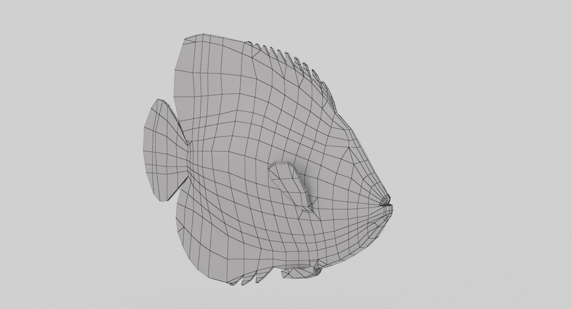 Fish Marine Tropical 3d Model