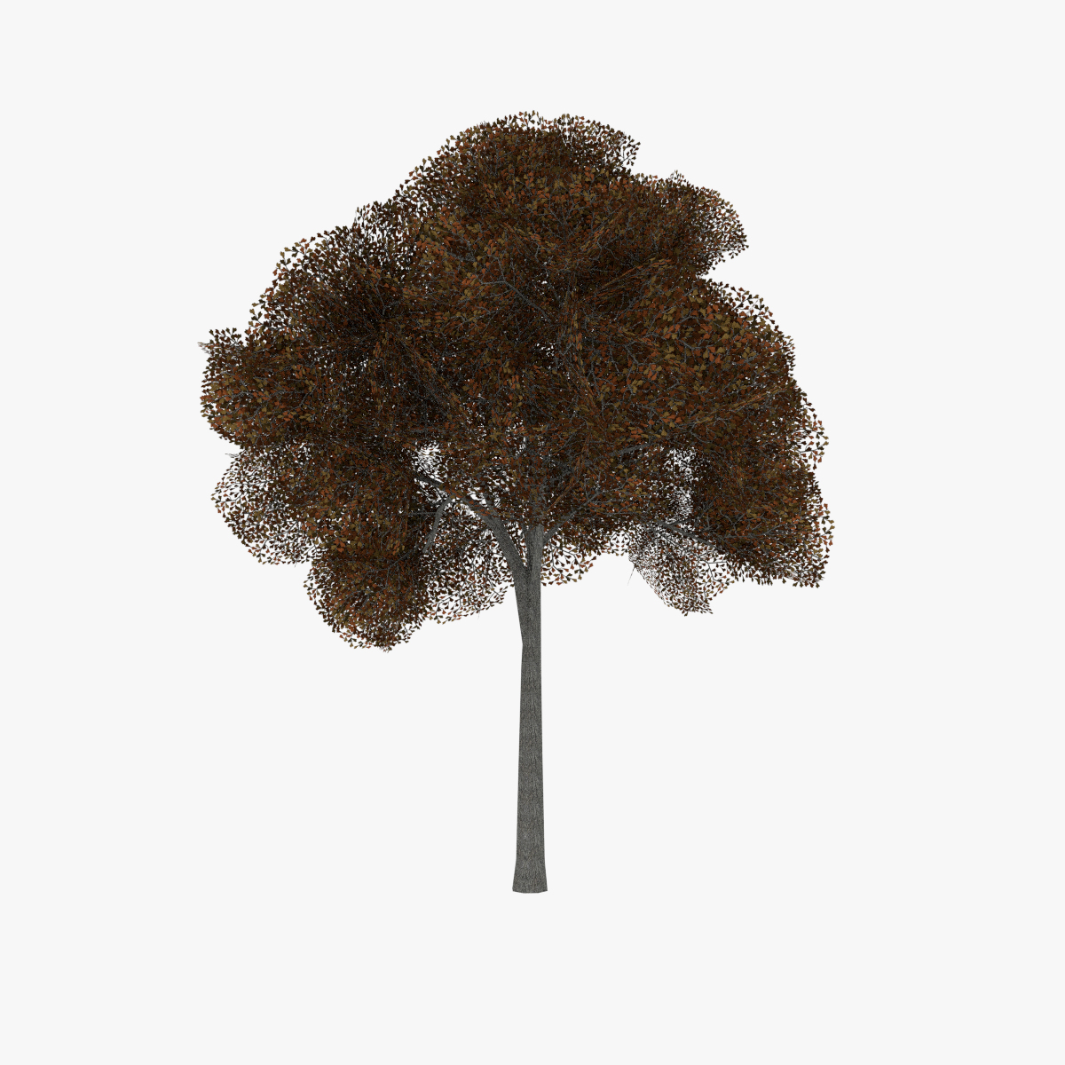 white oak tree 3d 3ds
