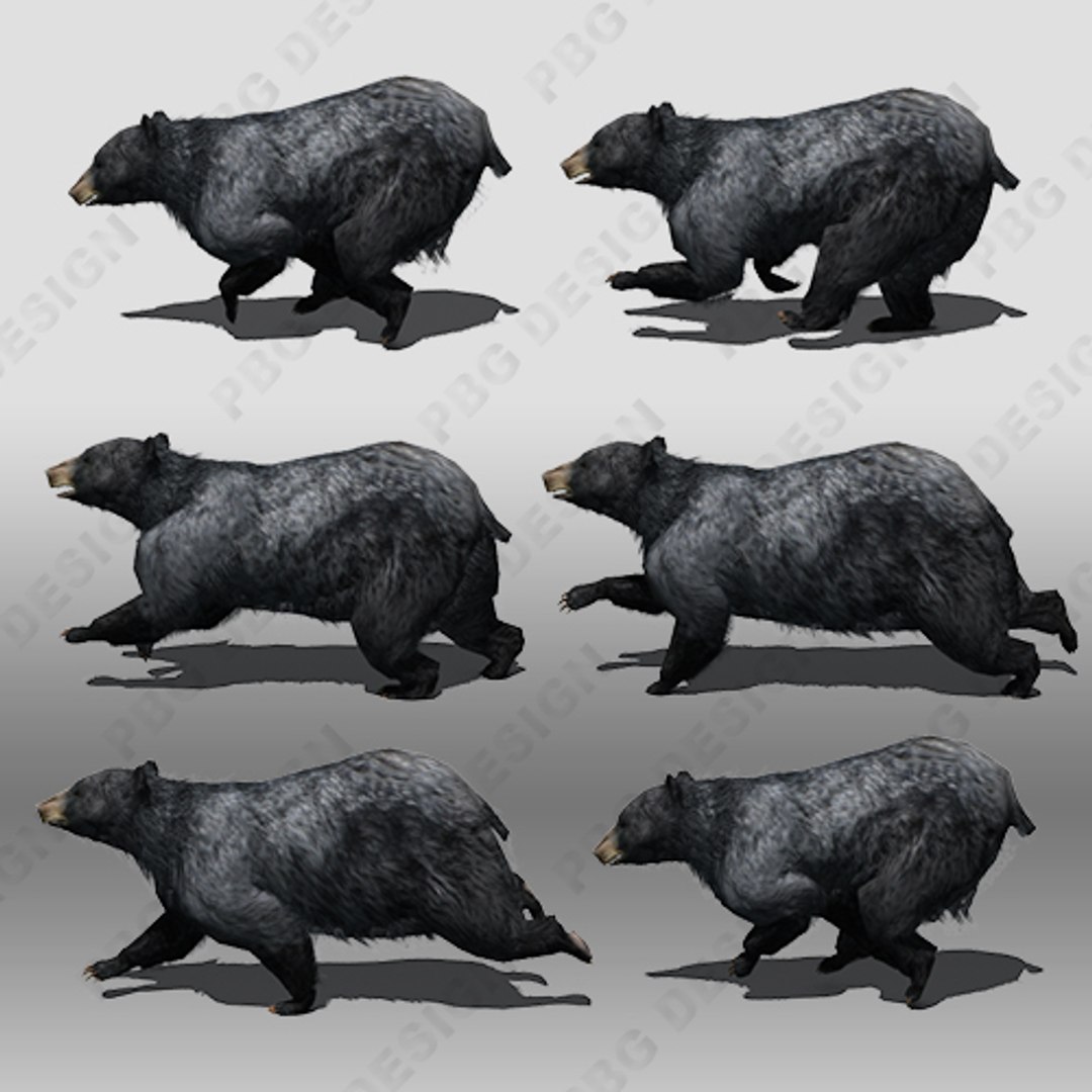 Black Bear Animations 3d Model