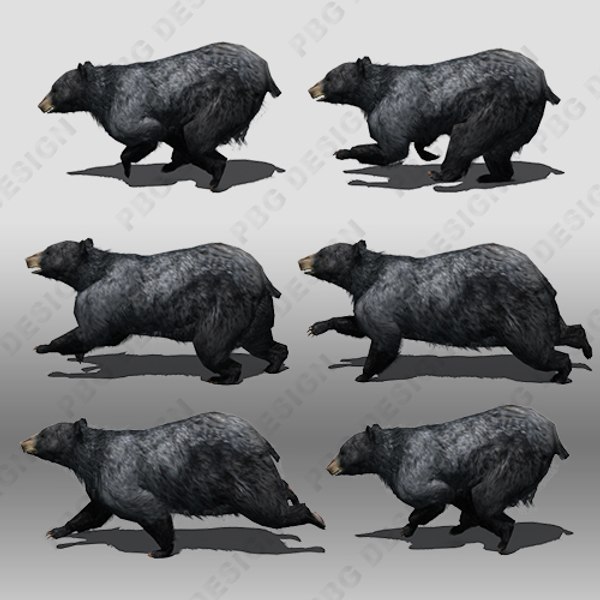 black bear animations 3d model