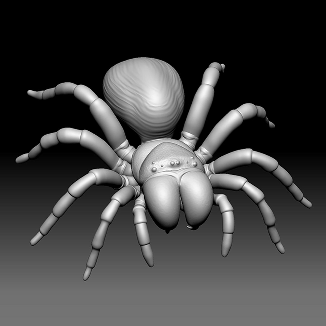 Mouse Spider 3D Model - TurboSquid 2151952