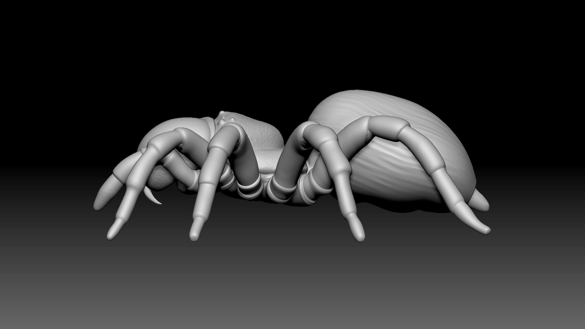 Mouse Spider 3D Model - TurboSquid 2151952