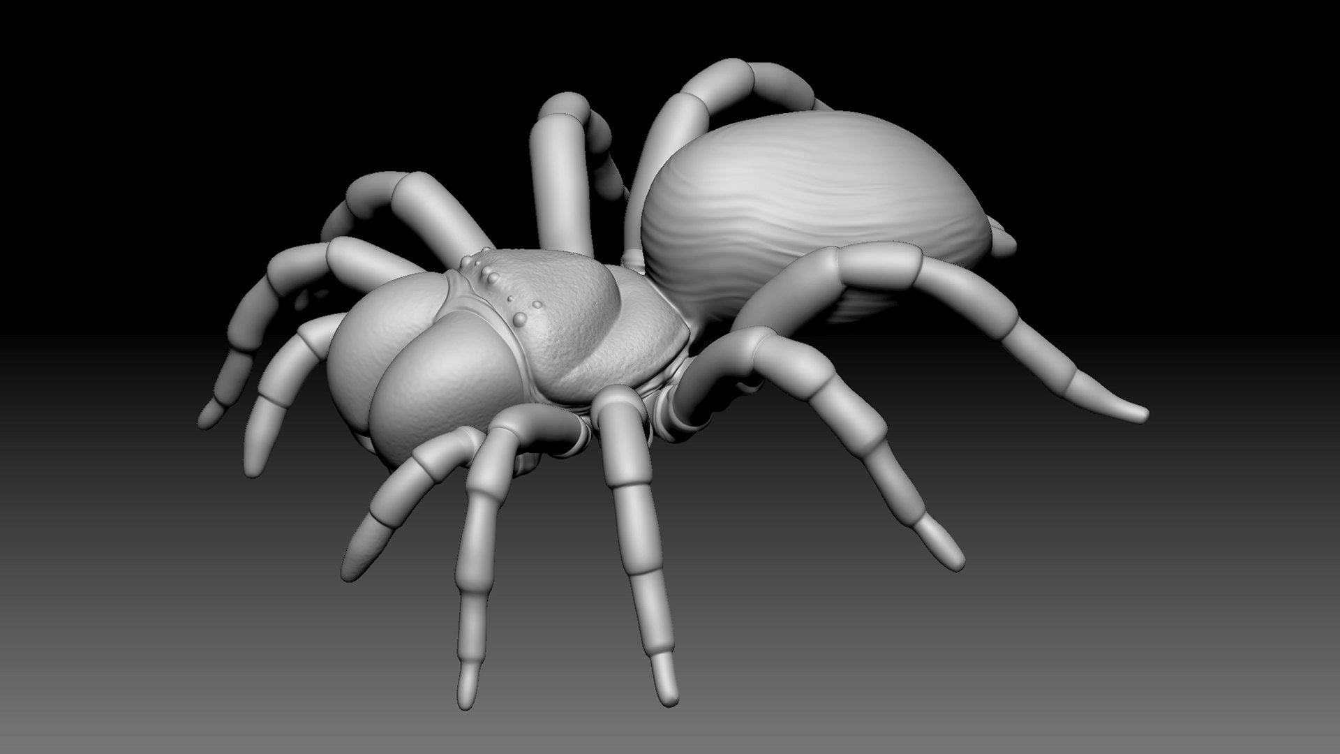 Mouse Spider 3D Model - TurboSquid 2151952