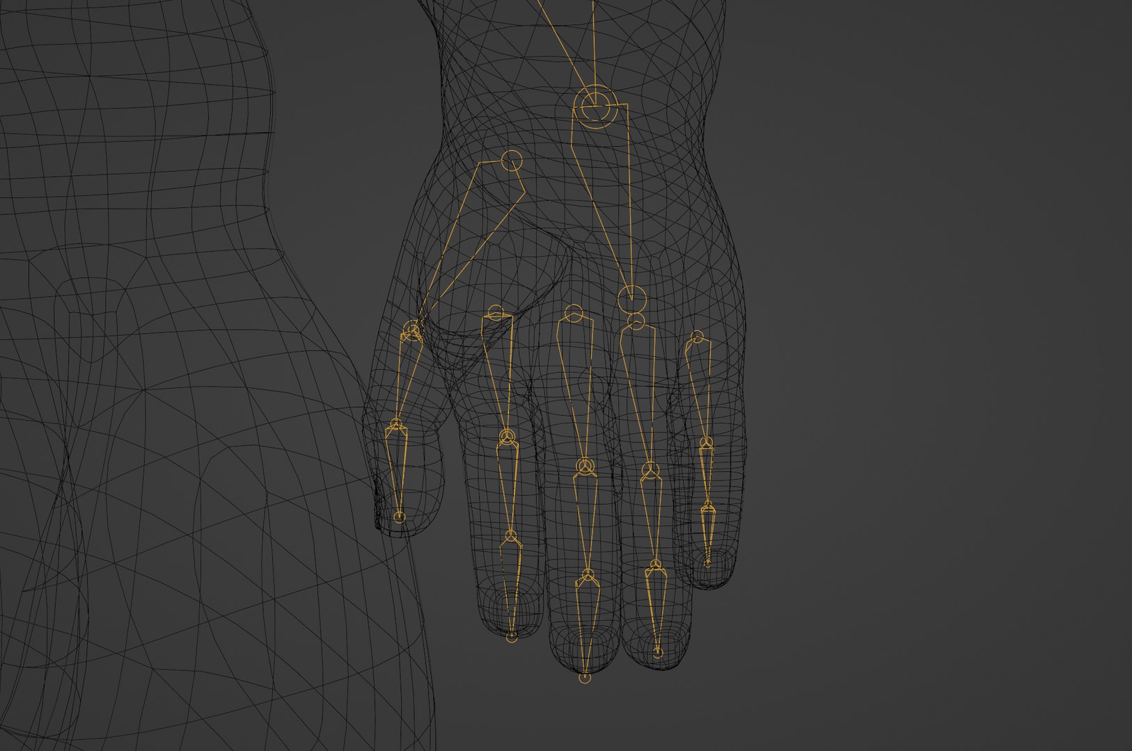 Body Positive Male - fully rigged 3D model - TurboSquid 1952849