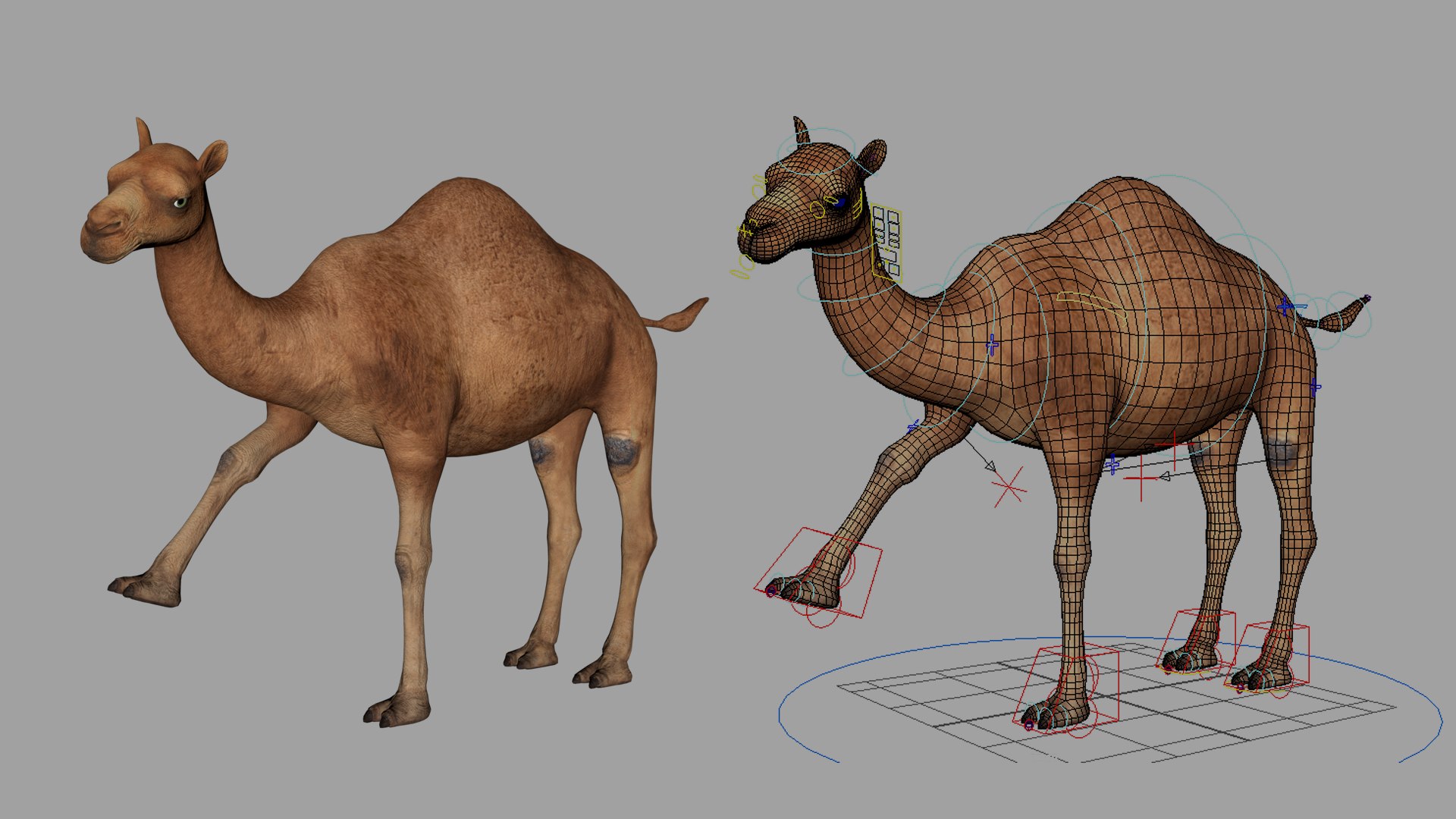 3D Camel Rigged - TurboSquid 2302454