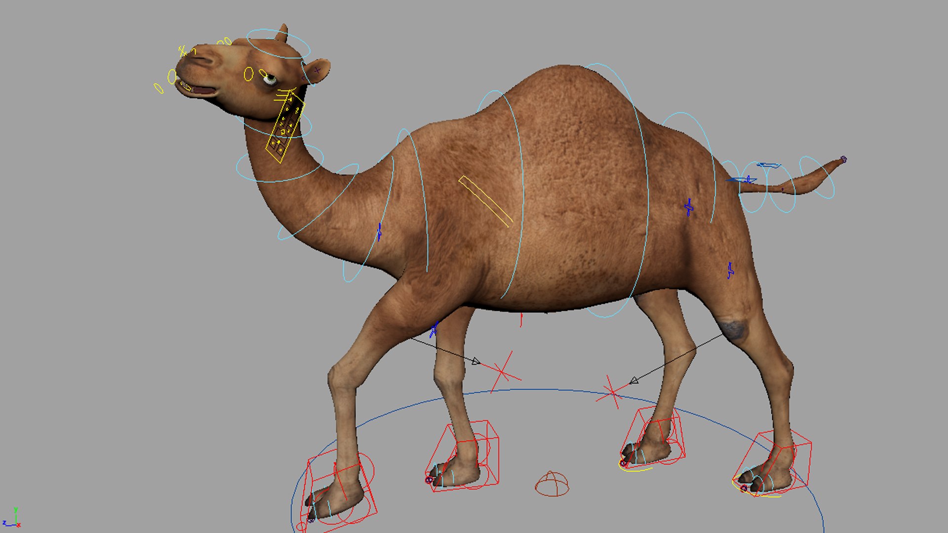 3D Camel Rigged - TurboSquid 2302454