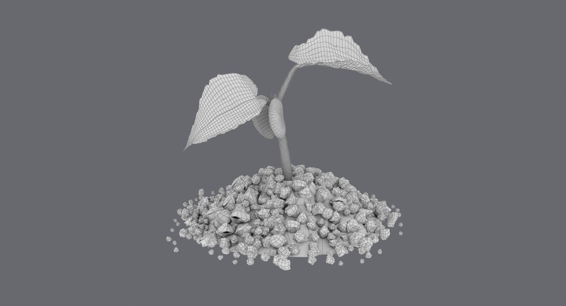 3d model plant sprout