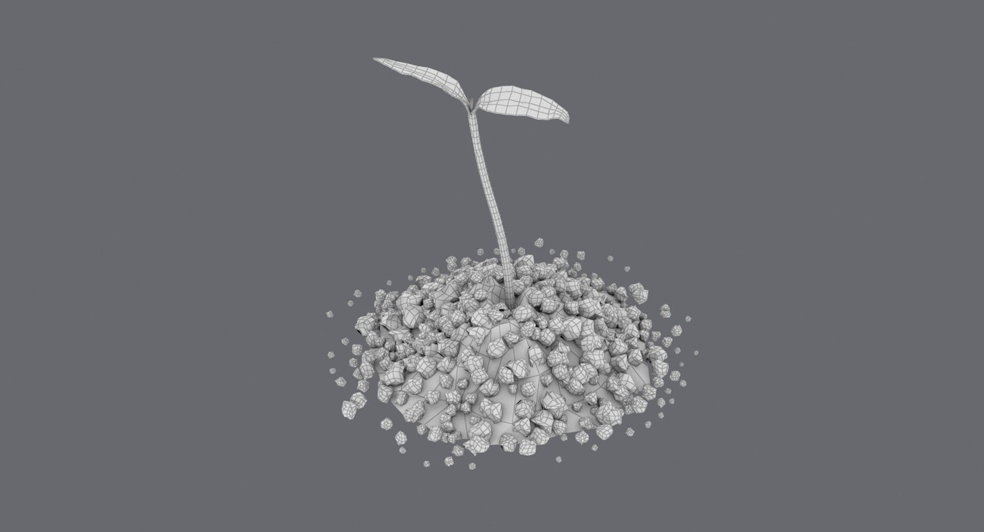 3d model plant sprout