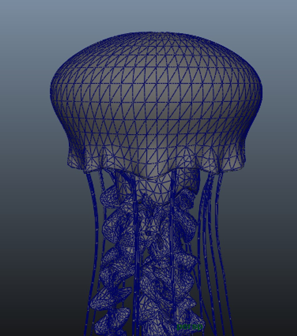 3d Jellyfish Fish Model