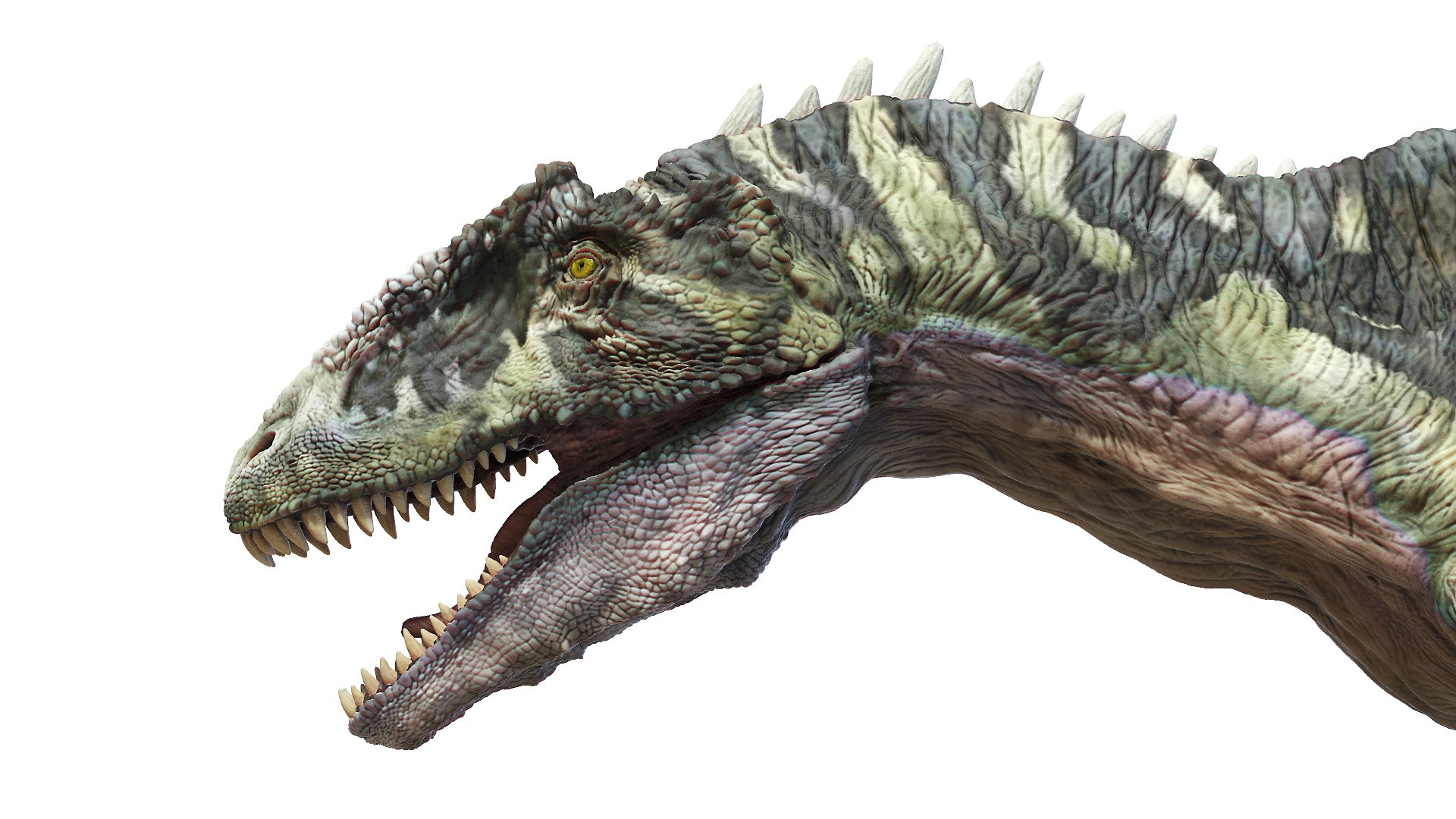 3D Acrocanthosaurus Animated Model - TurboSquid 1916517