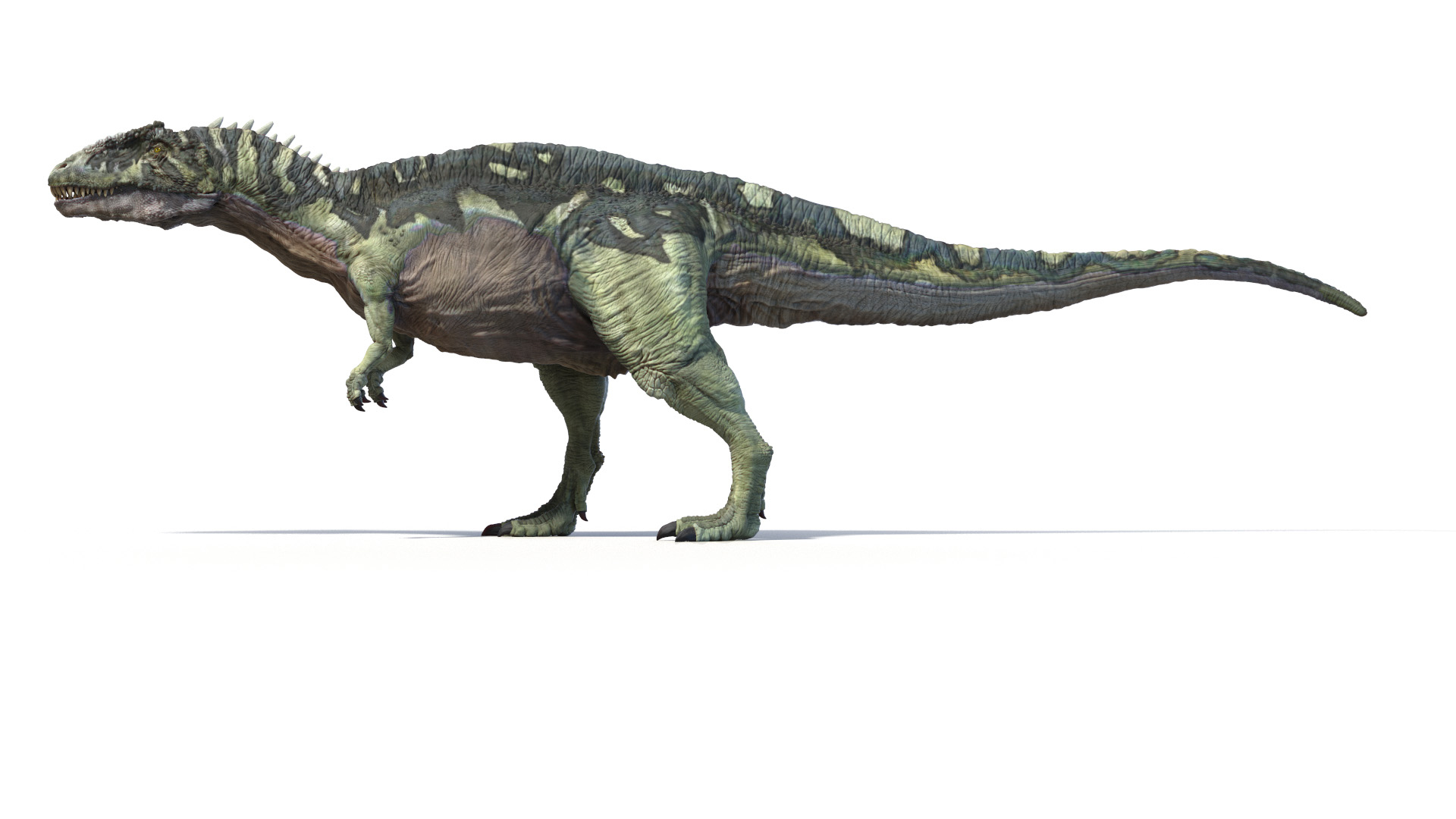 3D Acrocanthosaurus Animated Model - TurboSquid 1916517