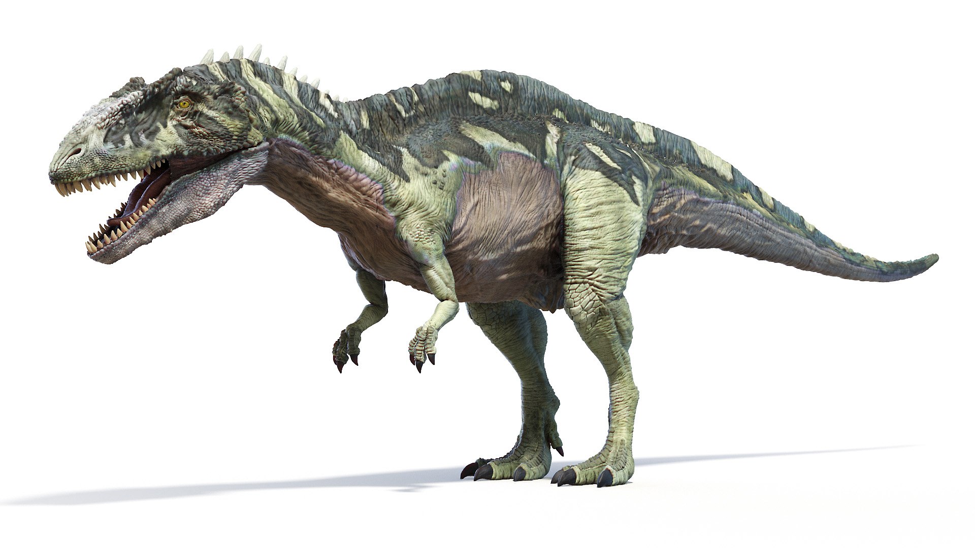3D Acrocanthosaurus Animated Model - TurboSquid 1916517