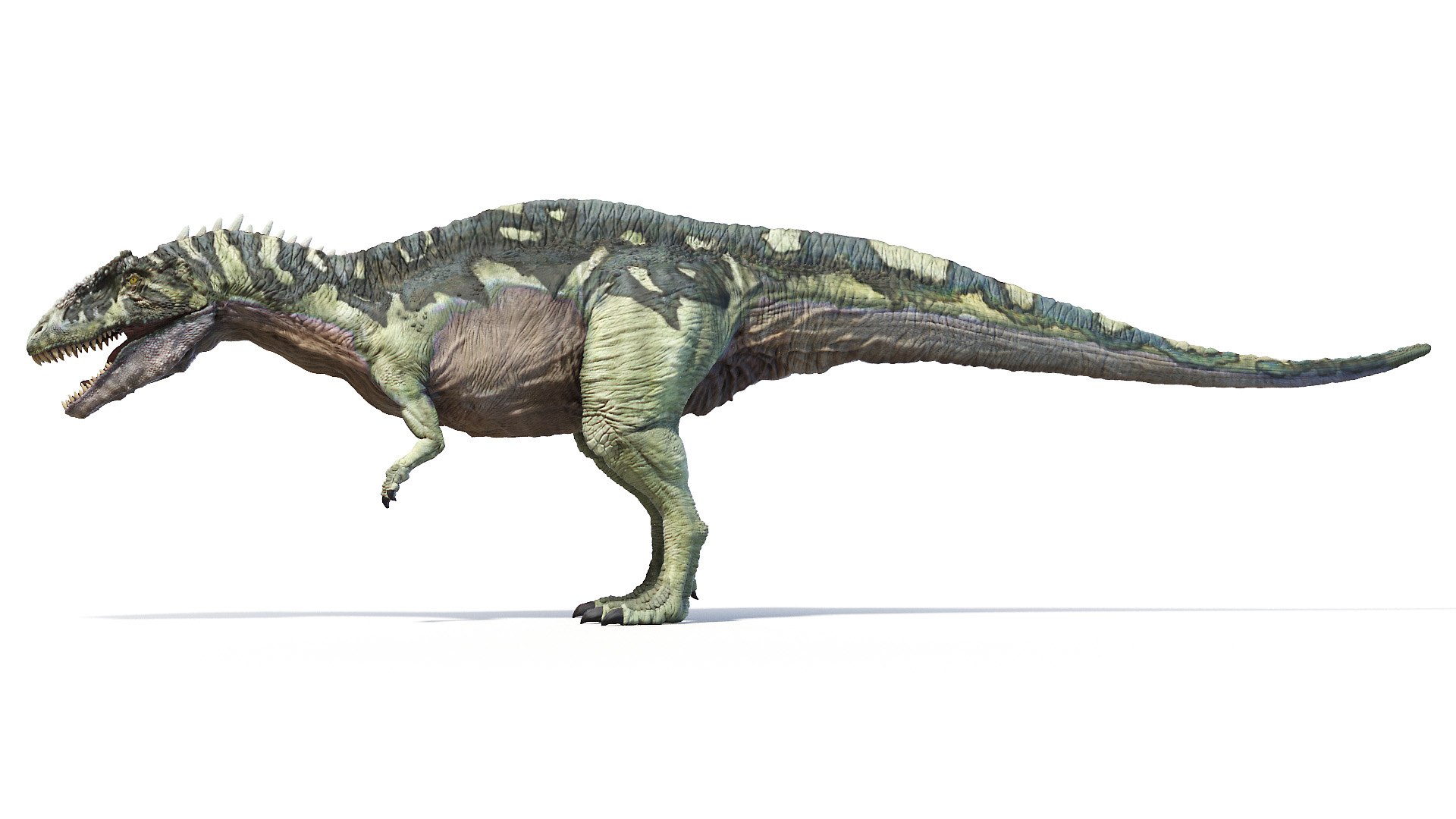 3D Acrocanthosaurus Animated Model - TurboSquid 1916517