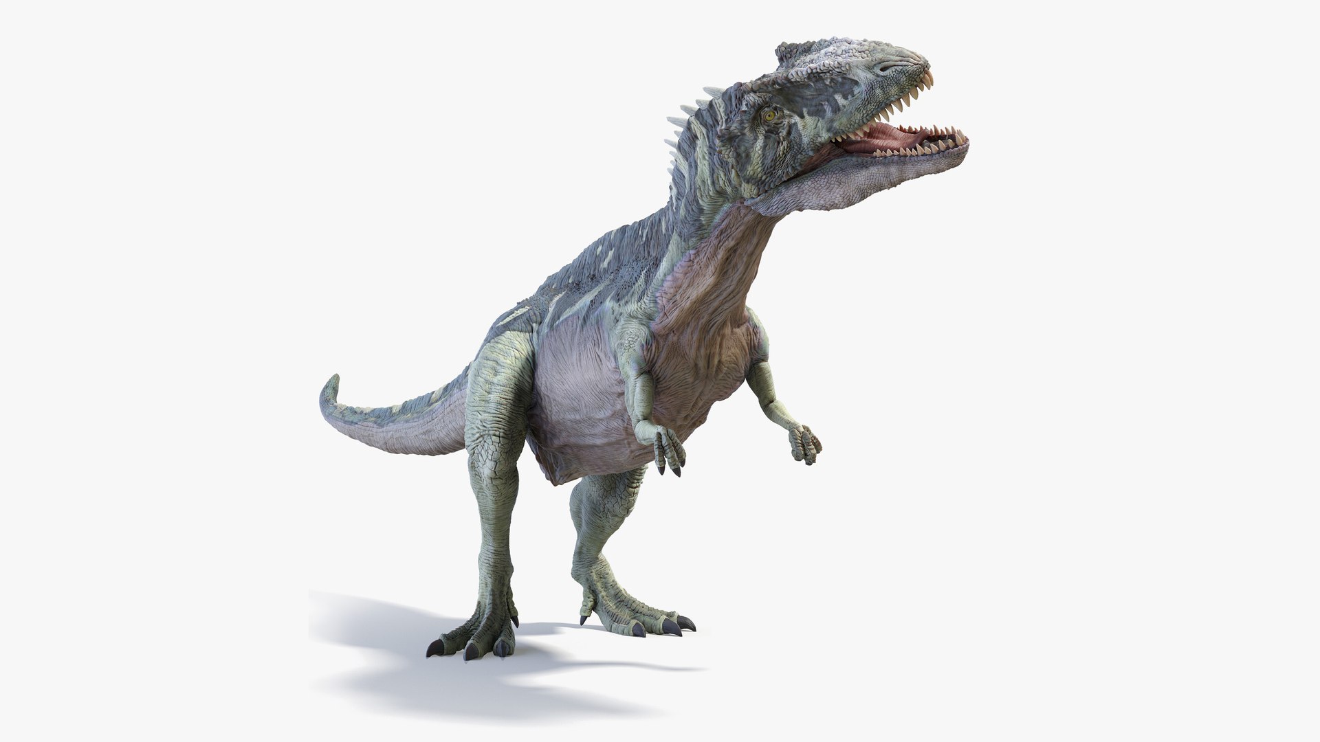 3D Acrocanthosaurus Animated Model - TurboSquid 1916517