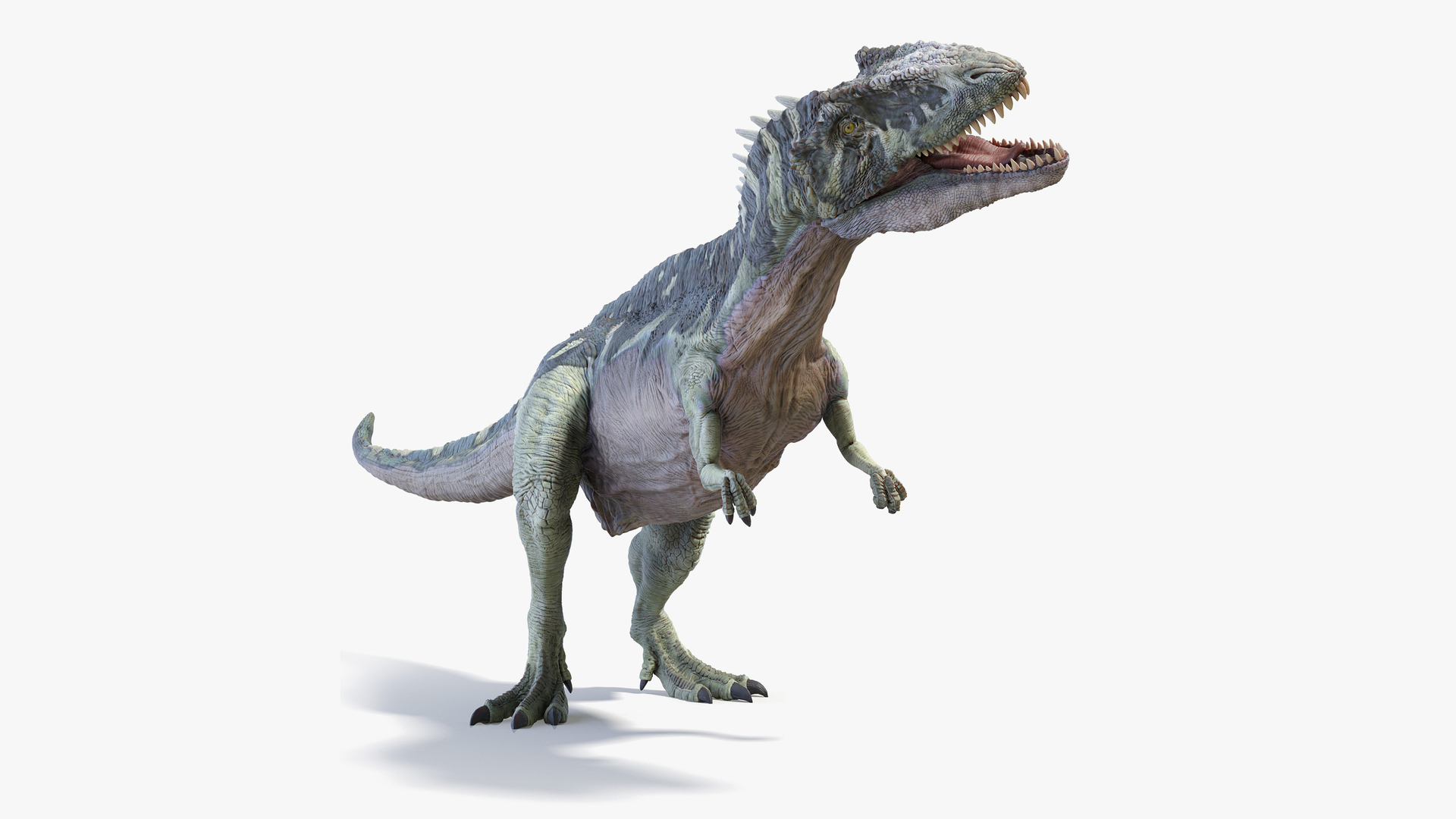 3D Acrocanthosaurus Animated model - TurboSquid 1916517