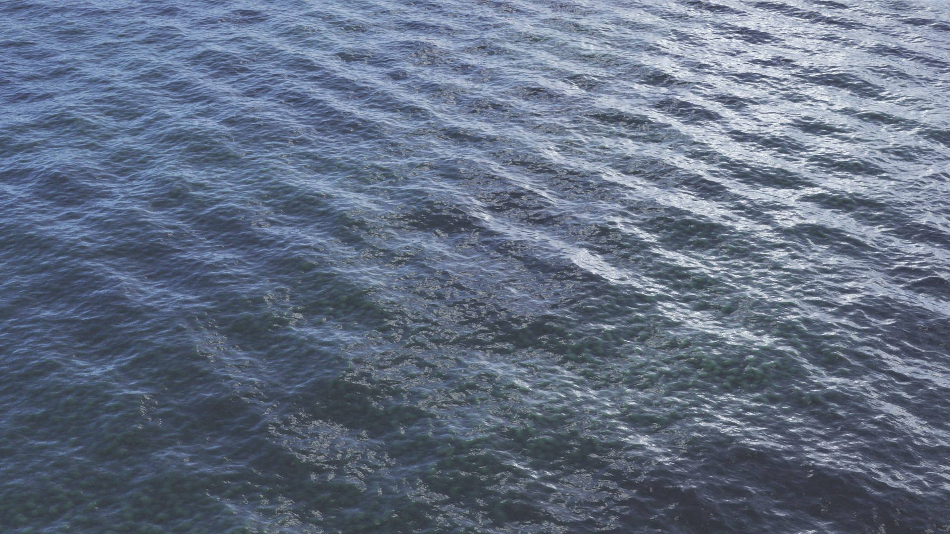 3D Ocean Surface - TurboSquid 1758478