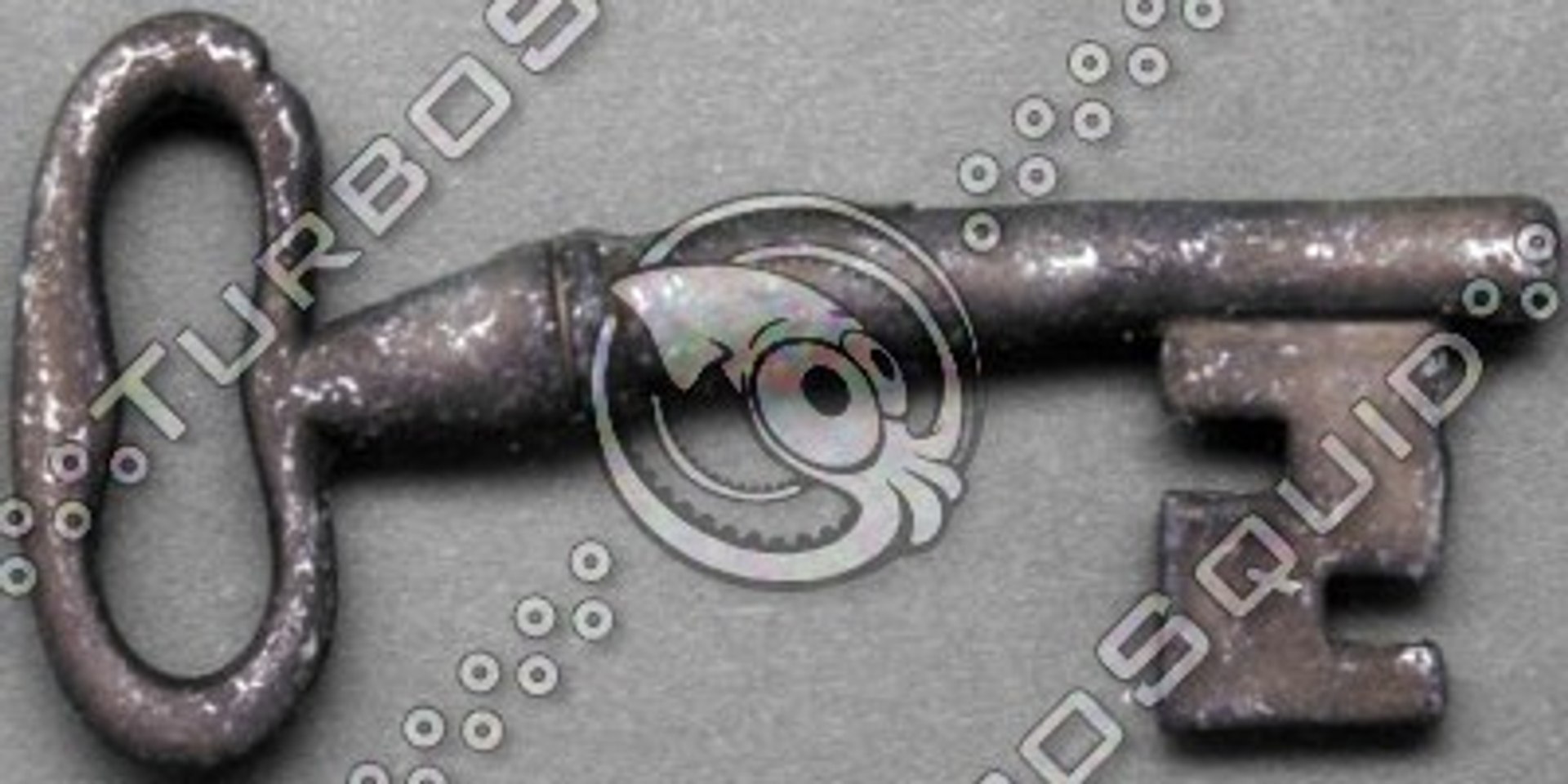 skeleton key 3d model