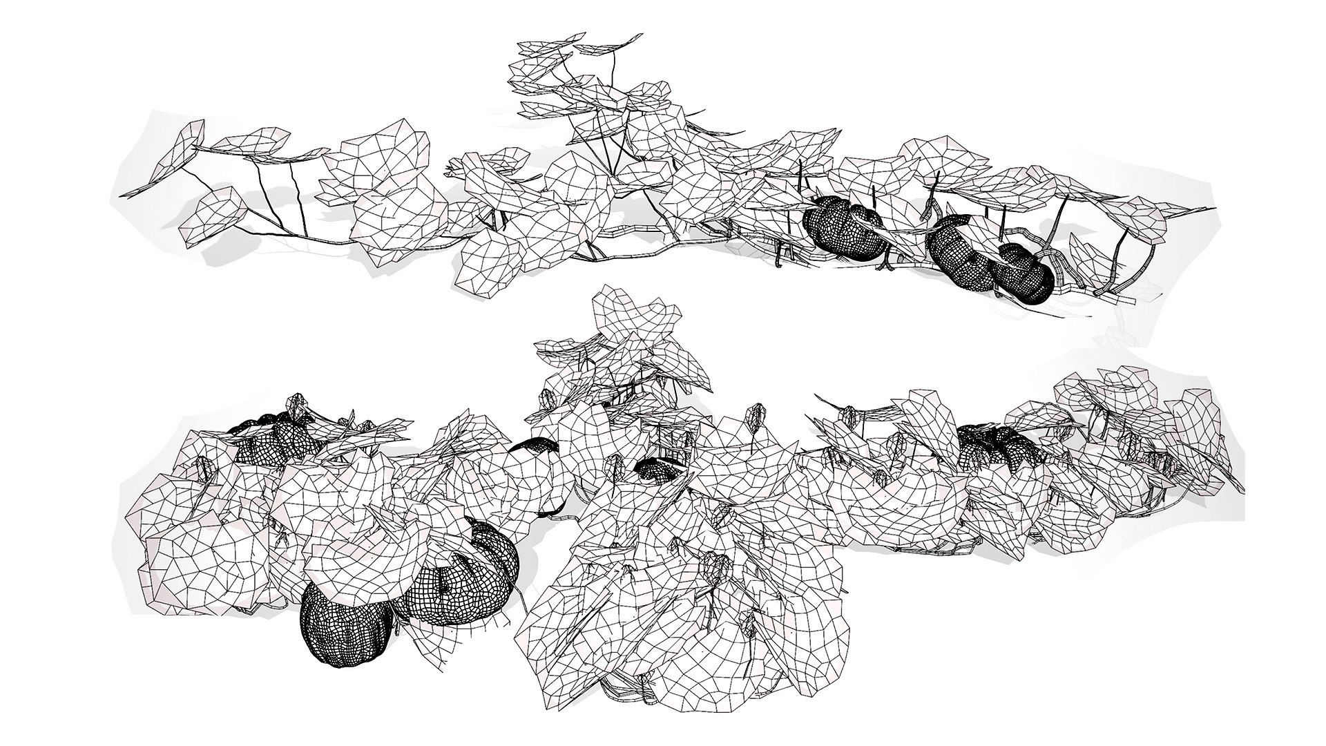 3D Realistic Pumpkin Vine Asset - TurboSquid 2339546