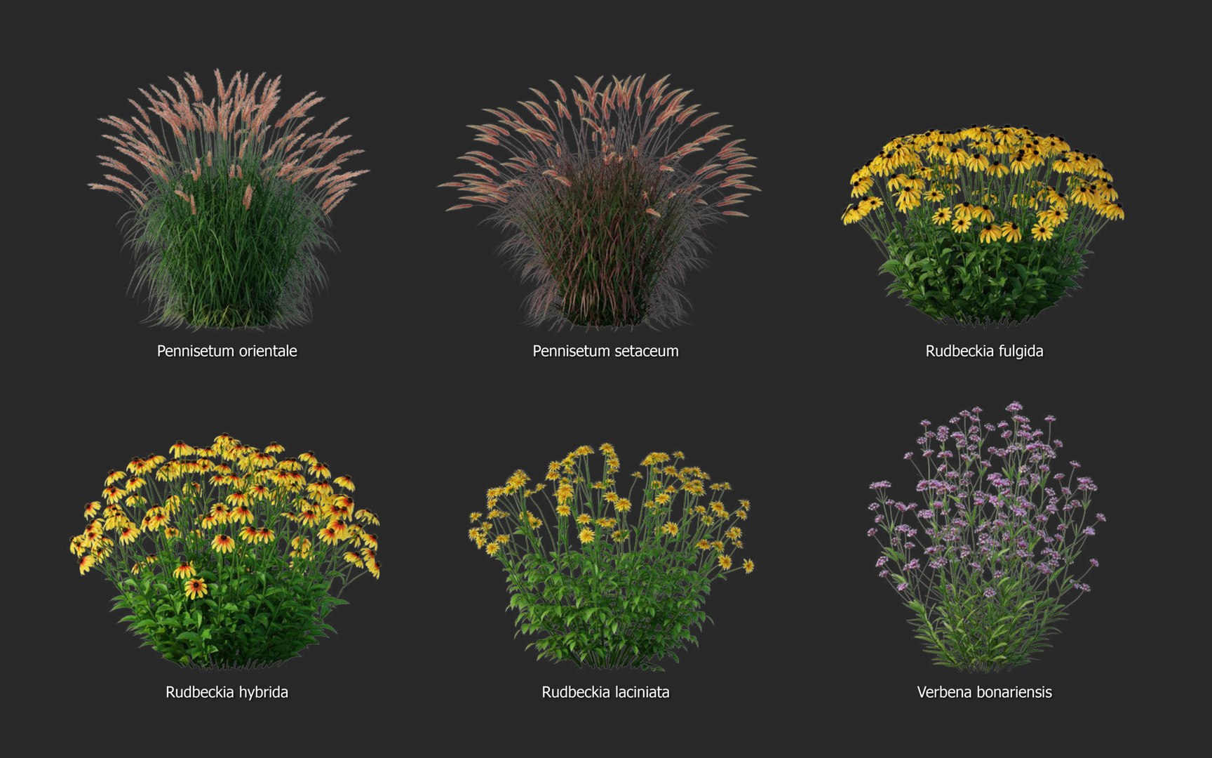 XfrogPlants HDPlants 3 Model - TurboSquid 1724765