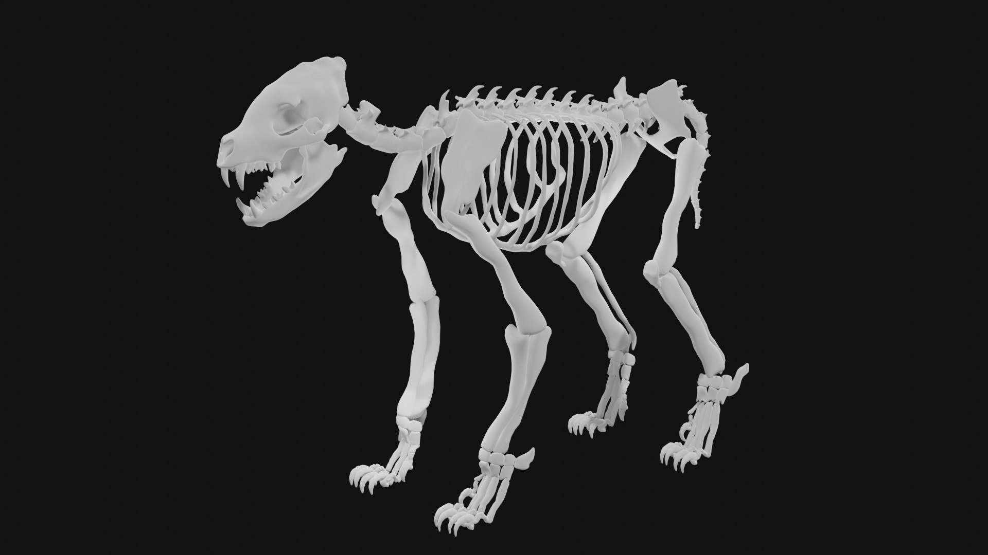 Hyena Skeleton Model - TurboSquid 1991000
