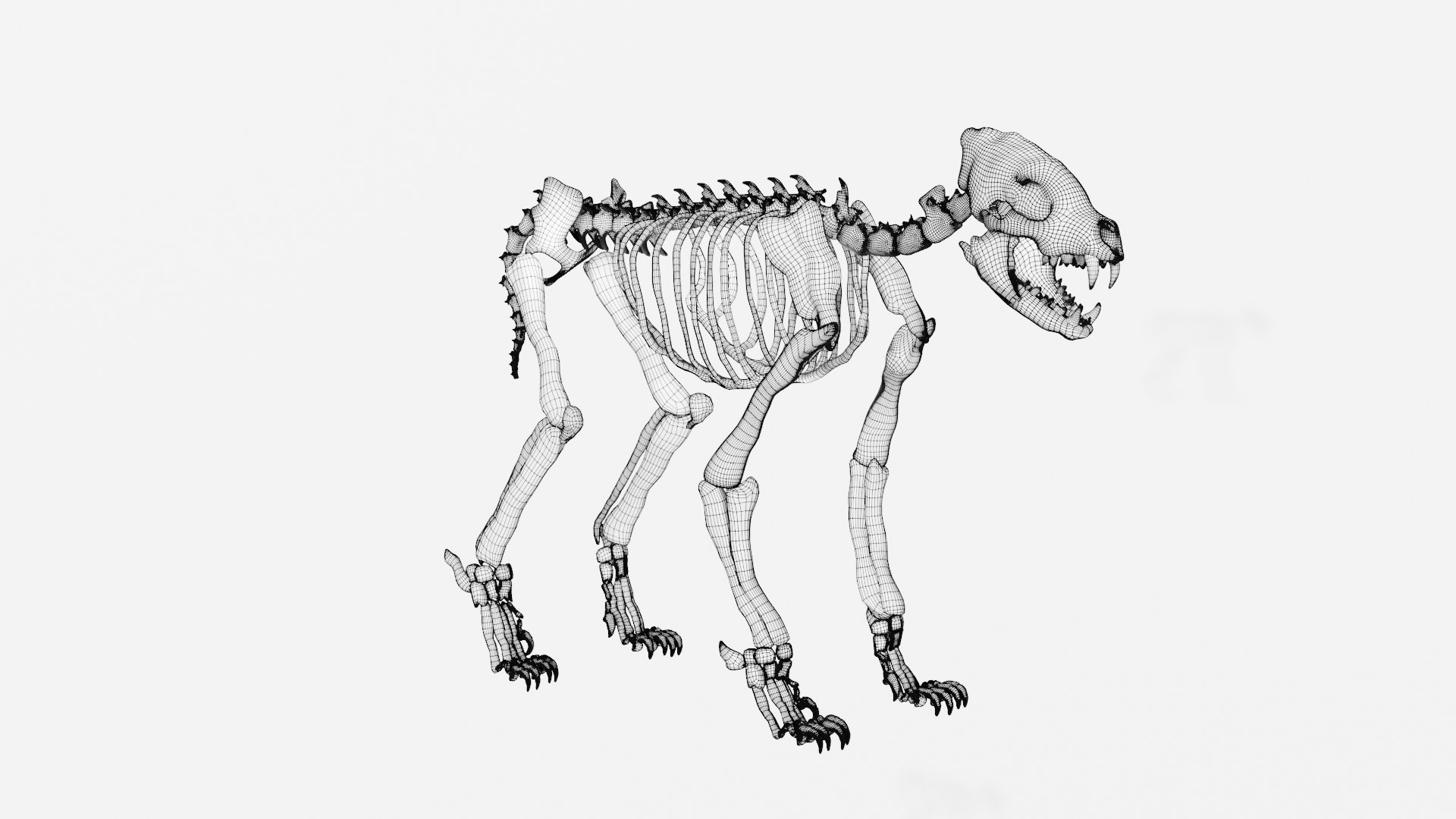 Hyena Skeleton Model - TurboSquid 1991000