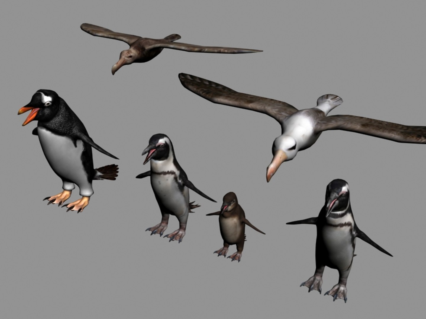 3d Penguins Antarctic