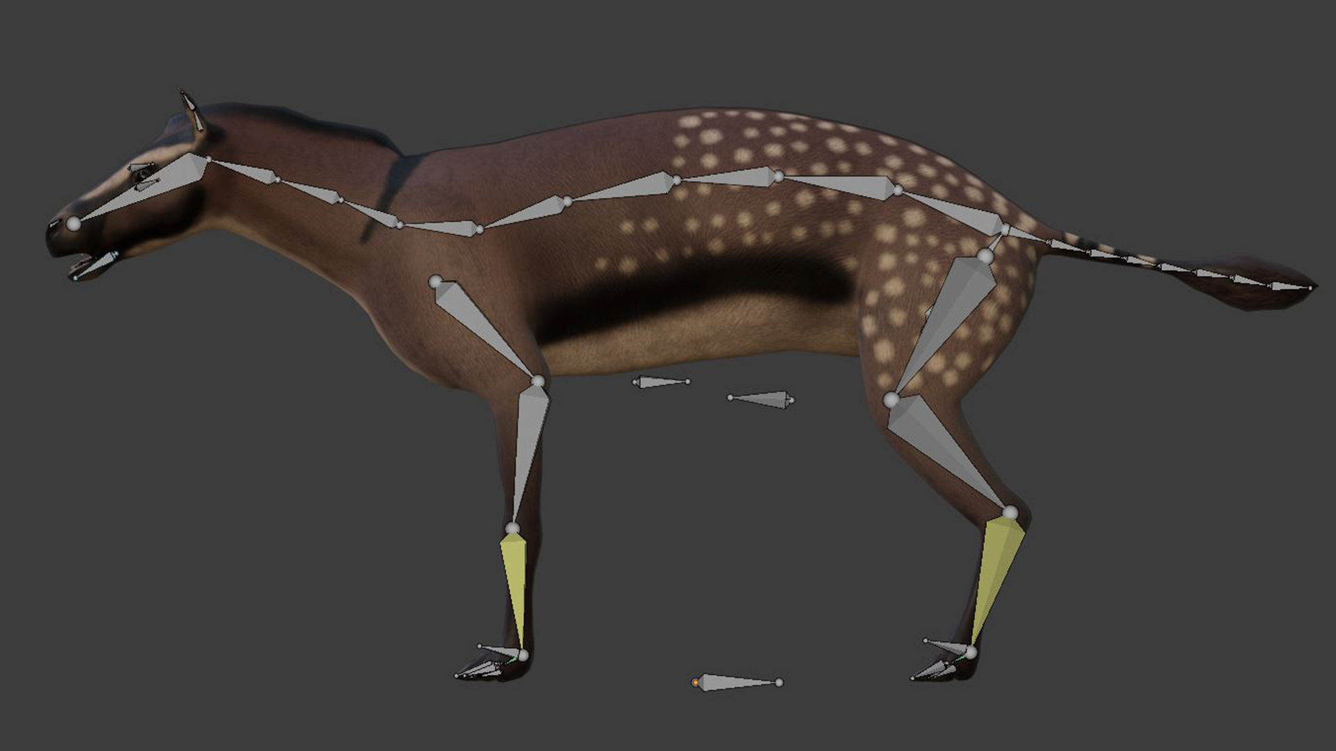 Hyracotherium rig 3D model - TurboSquid 1651023
