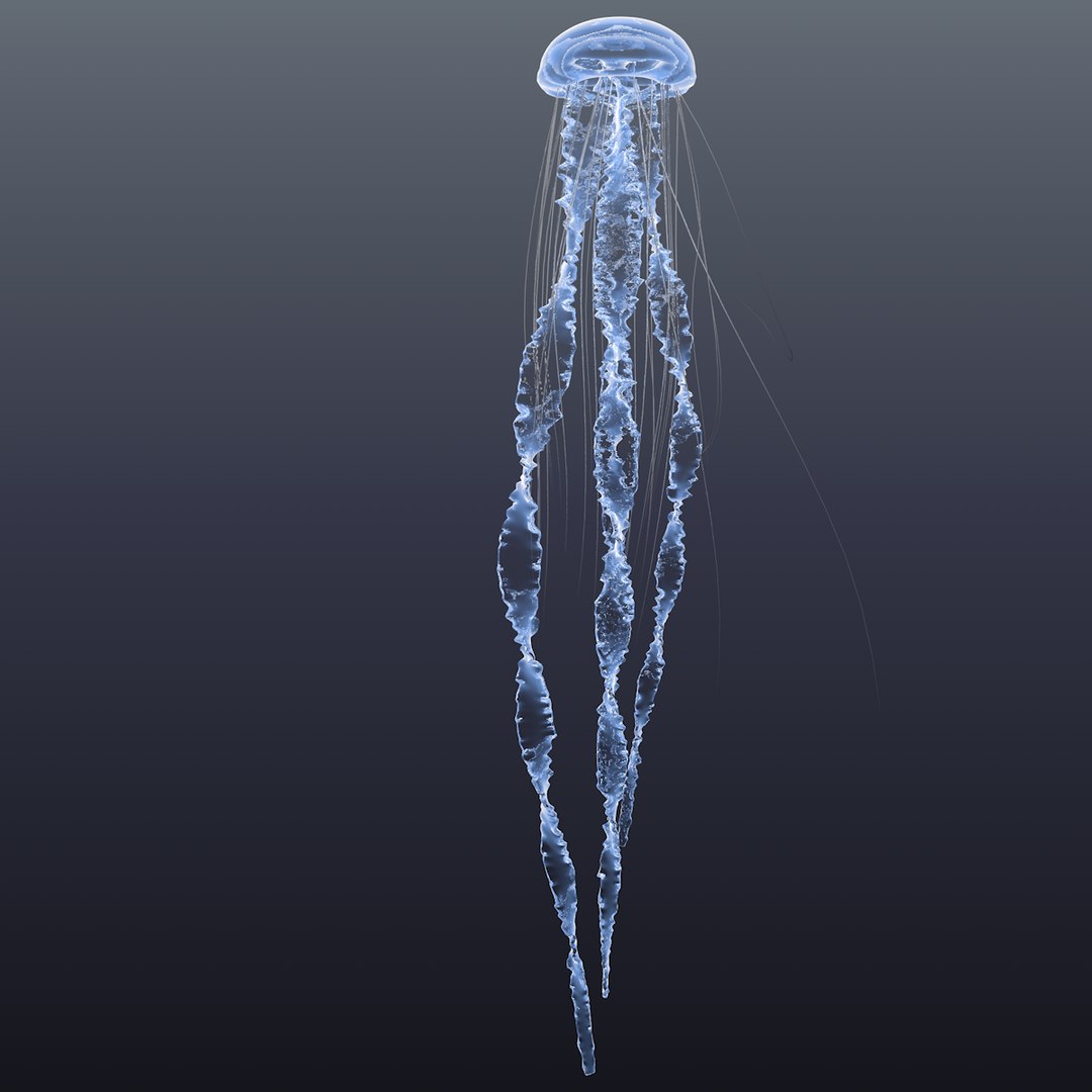 Realistic Jellyfish 3D Model - TurboSquid 1453390