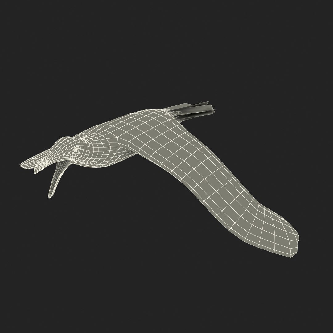 3d model flying gull 1 rigged