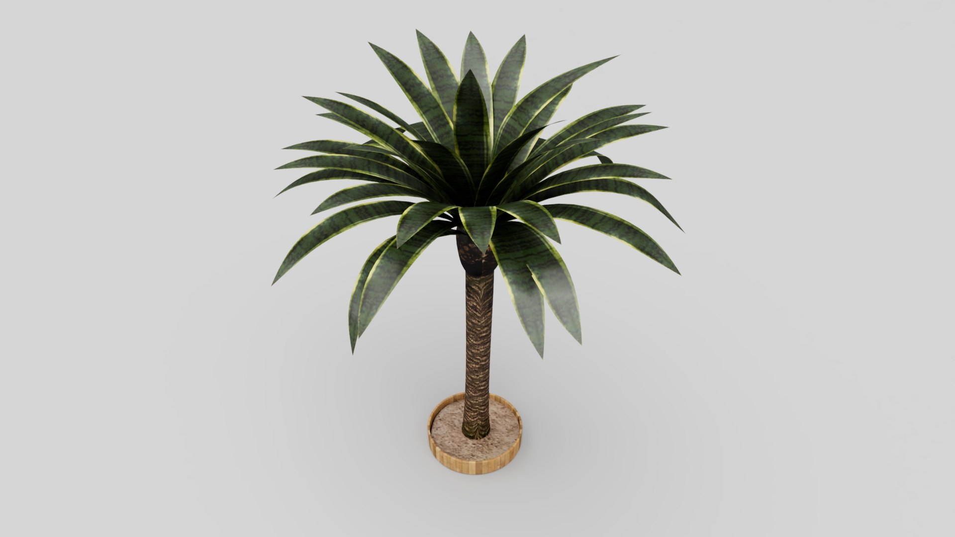 Palm Tree 3D Model - TurboSquid 2010378