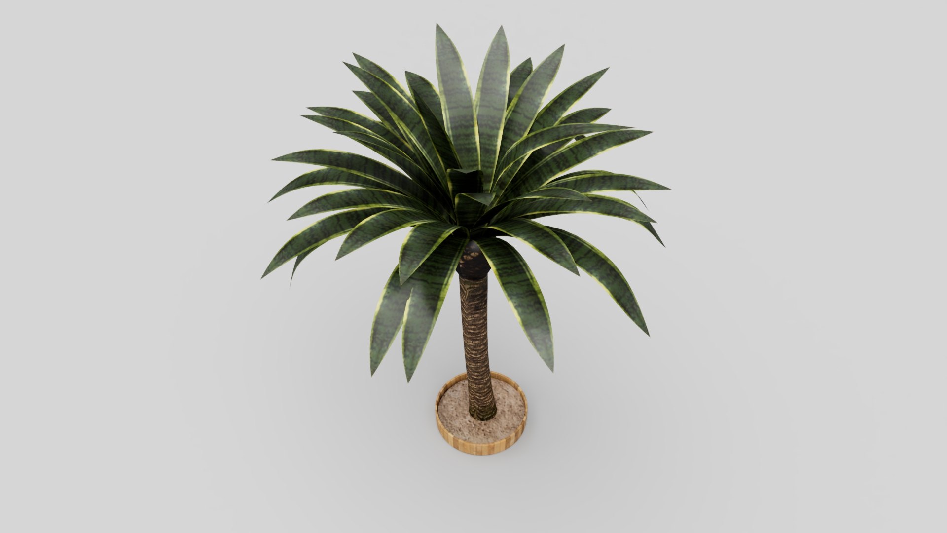 Palm Tree 3D Model - TurboSquid 2010378