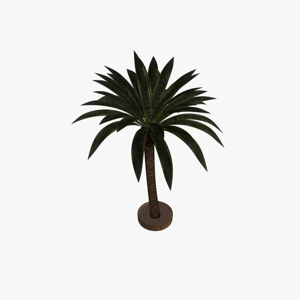 Palm Tree 3D model - TurboSquid 2010378
