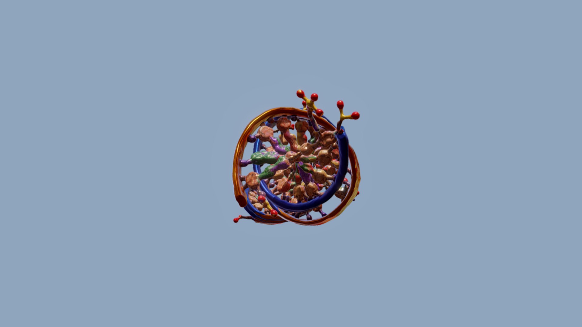 3D Model DNA 3D Model - TurboSquid 2576348