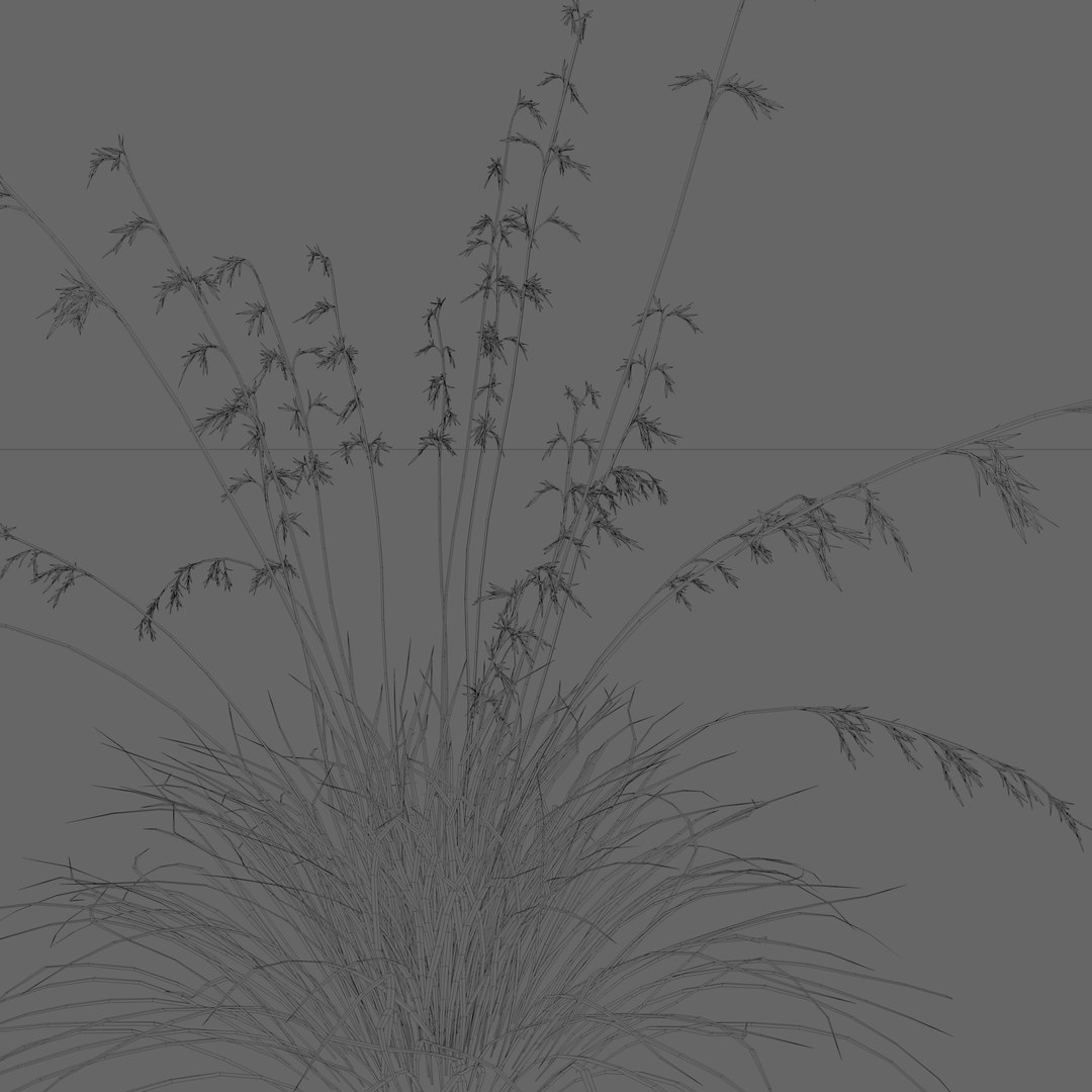 Wild Grass 3D - TurboSquid 1296917
