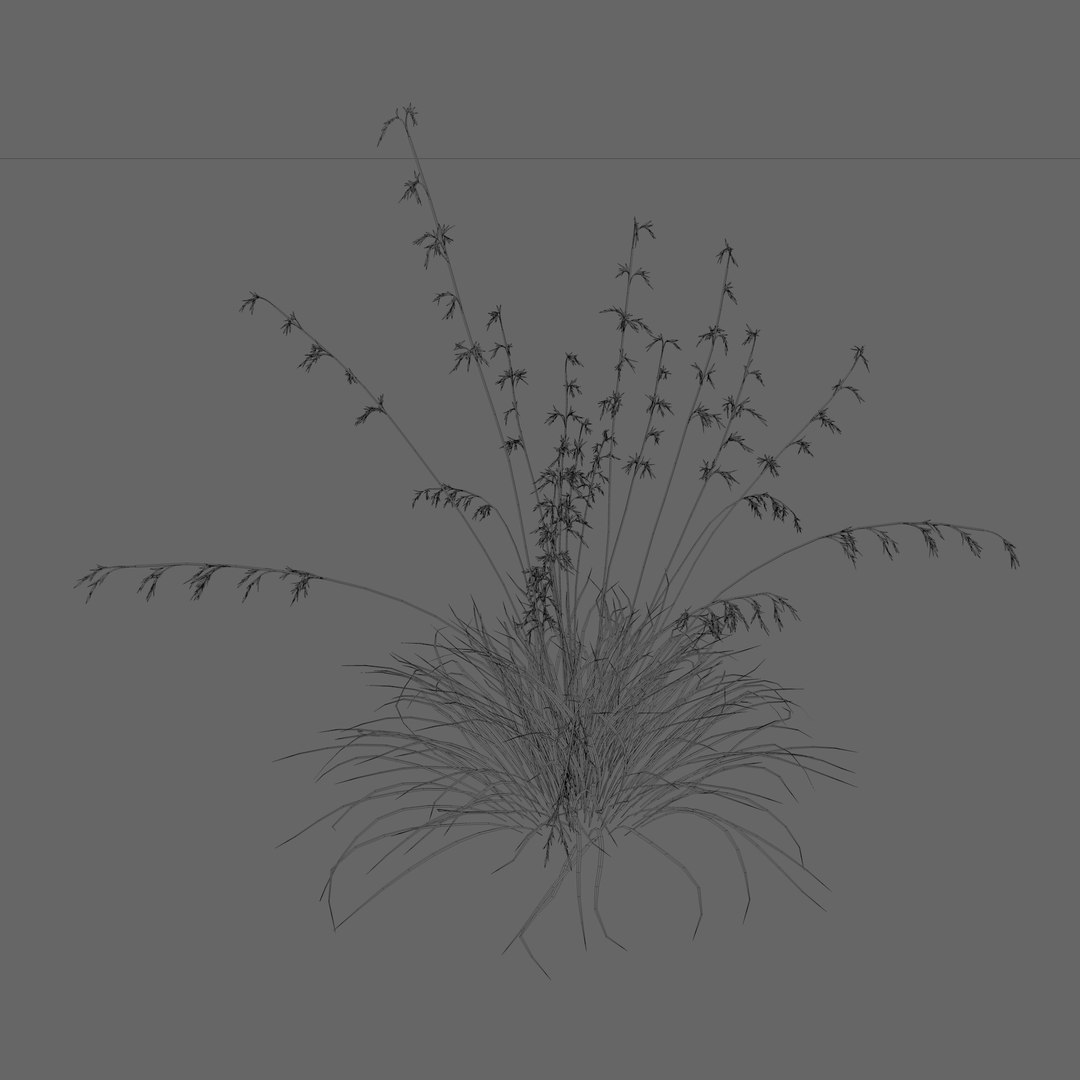 Wild Grass 3D - TurboSquid 1296917