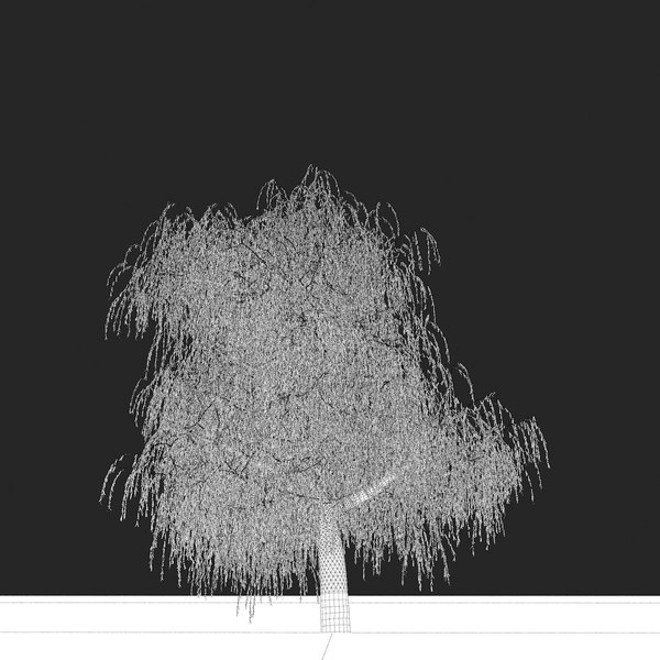 willow tree 3d model