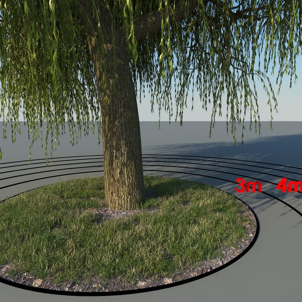 willow tree 3d model