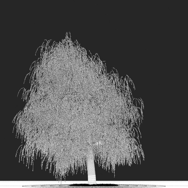 willow tree 3d model