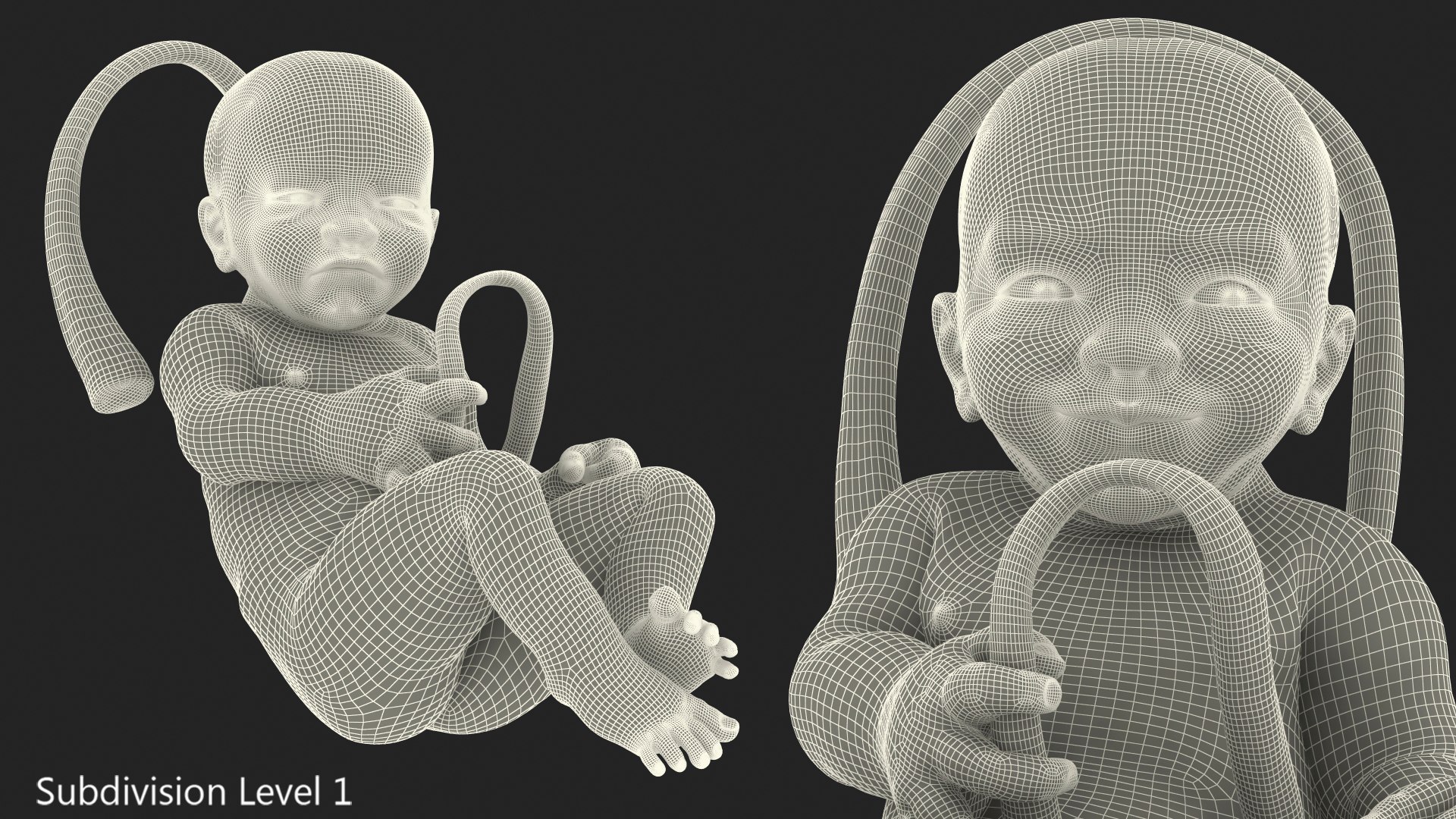 3D Baby Boy 38 Weeks Model - TurboSquid 1661747