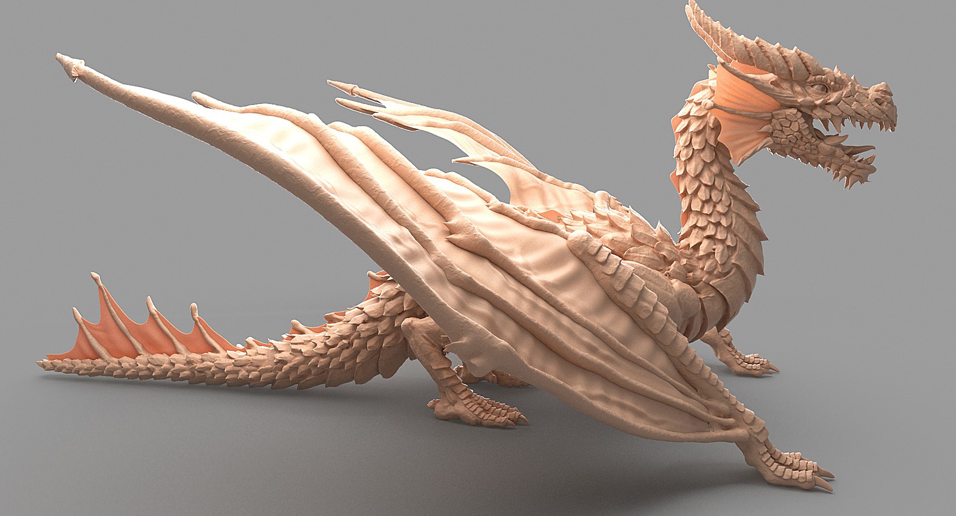 Dragon 3D Model - TurboSquid 1039845