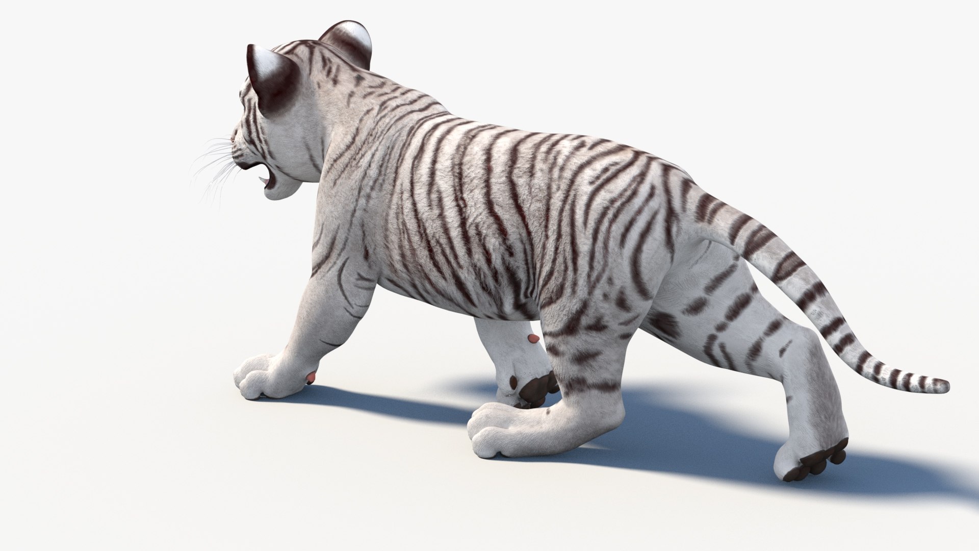 Animated White Tiger Cub 3D Model 3D Model - TurboSquid 2333138