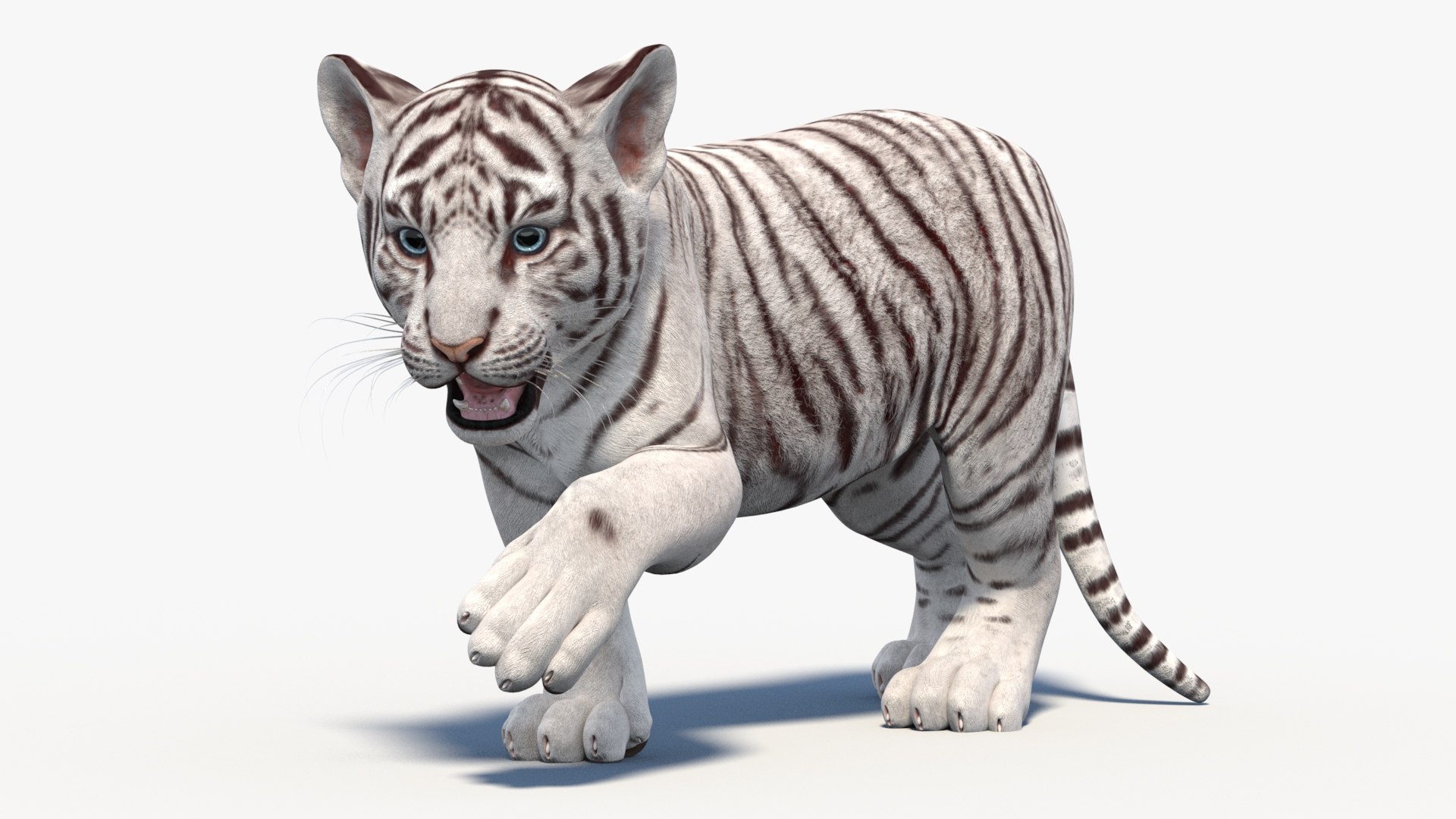 Animated White Tiger Cub 3D Model 3D Model - TurboSquid 2333138