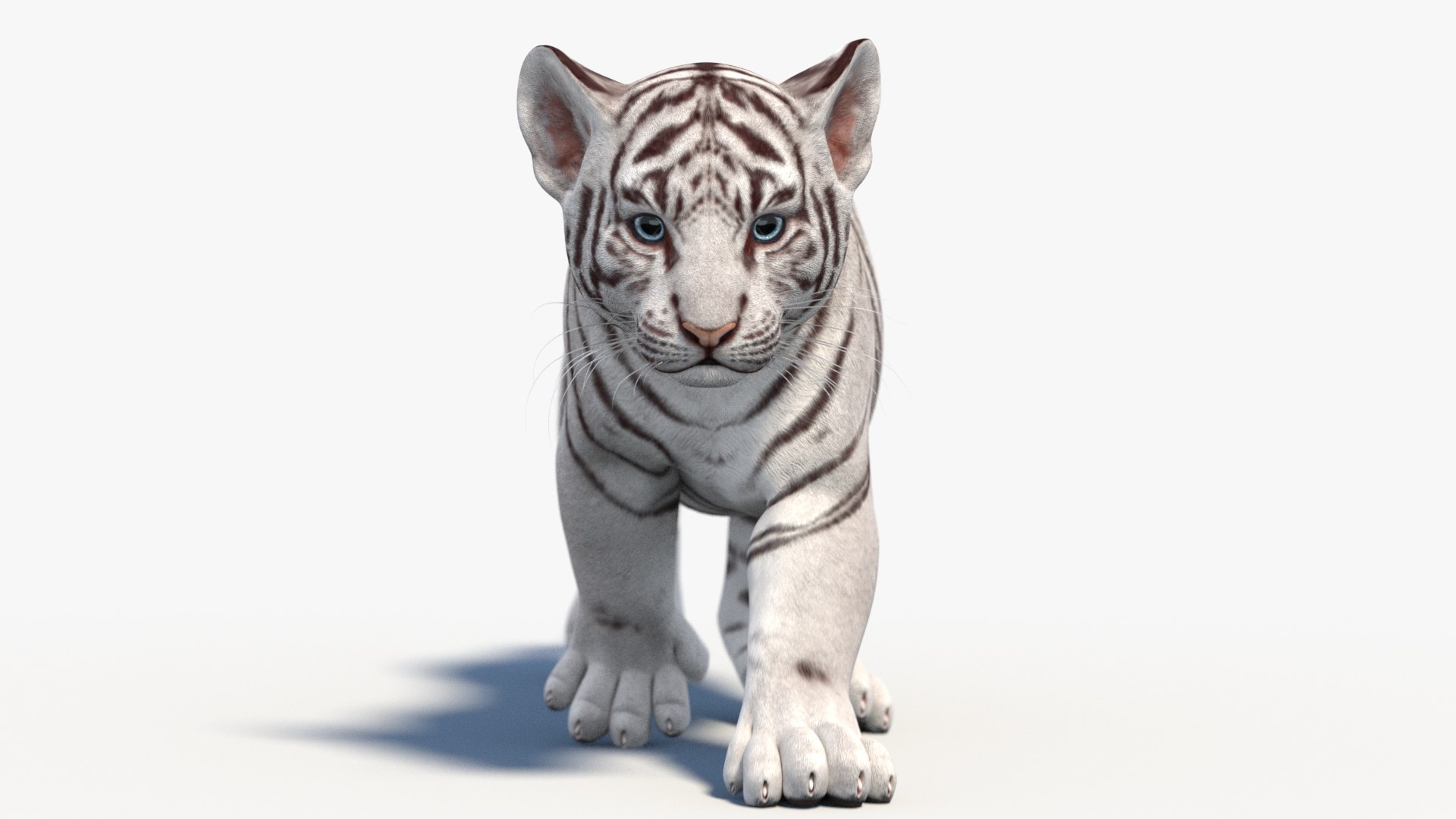 Animated White Tiger Cub 3D Model 3D Model - TurboSquid 2333138