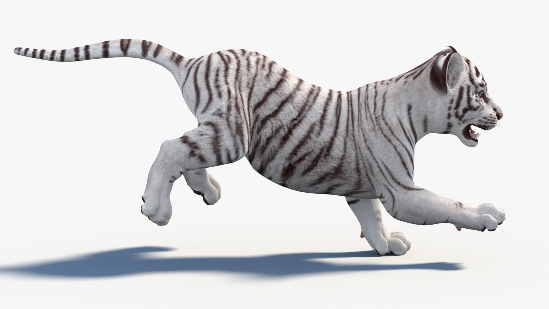 Animated White Tiger Cub 3D Model 3D Model - TurboSquid 2333138