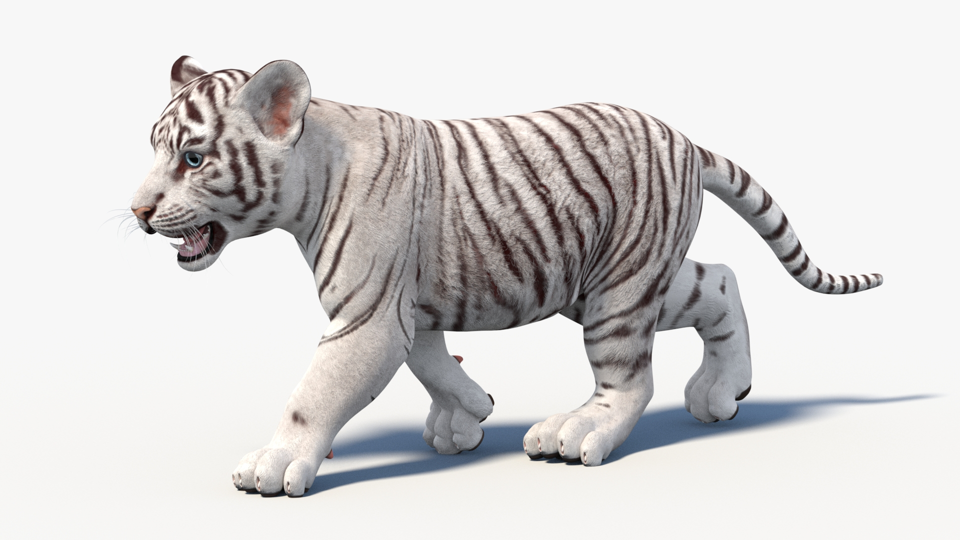 Animated White Tiger Cub 3D Model 3D Model - TurboSquid 2333138