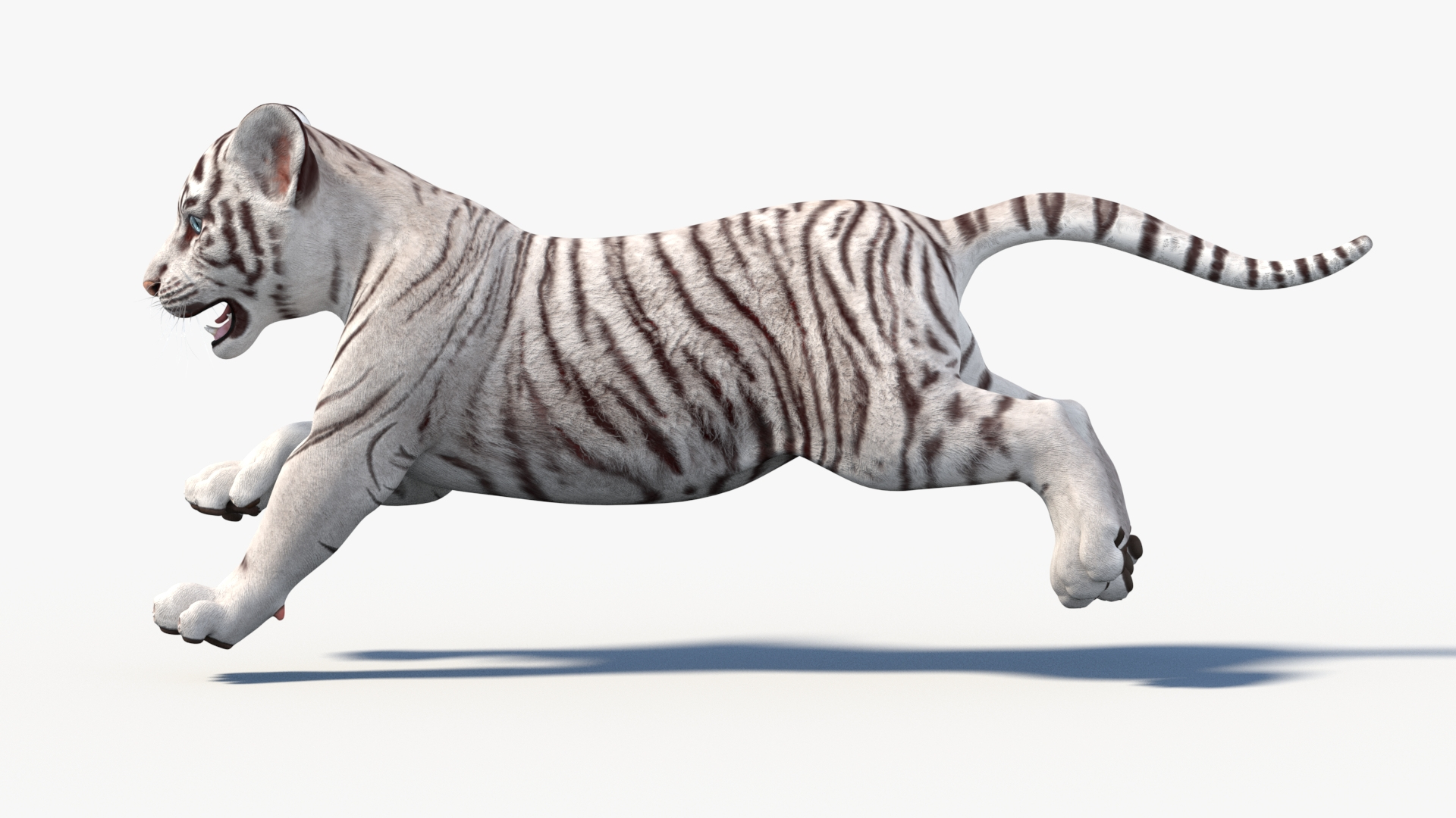 Animated White Tiger Cub 3D Model 3D Model - TurboSquid 2333138