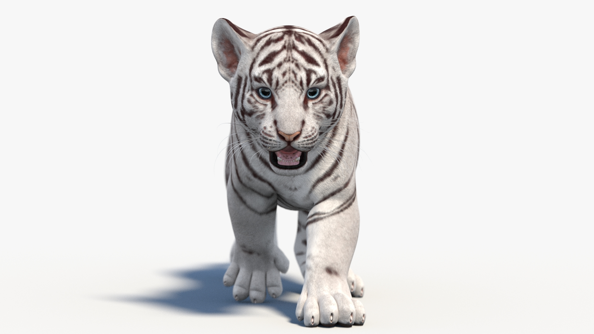 Animated White Tiger Cub 3D Model 3D Model - TurboSquid 2333138